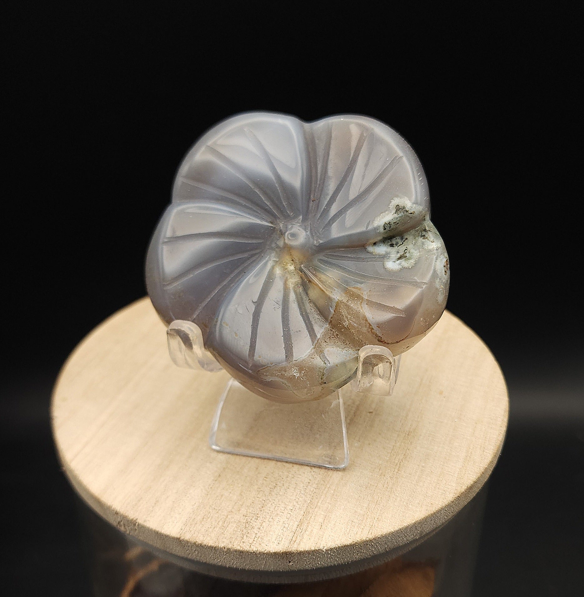 Agate Flower – Moth & Crow Crystals and Oddities